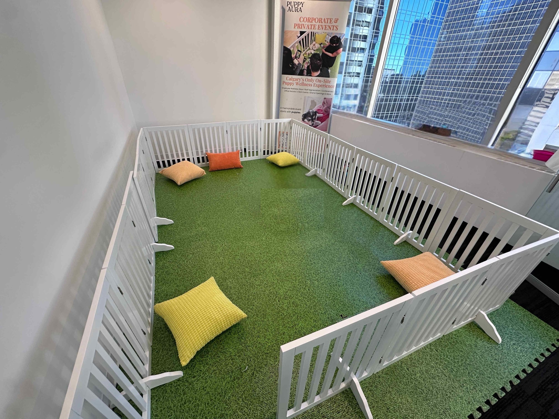 Puppy Aura - Calgary's Premier Puppy Wellness Experience